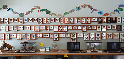 THCF Business Partner Appreciation Day 2014 | Bcreative